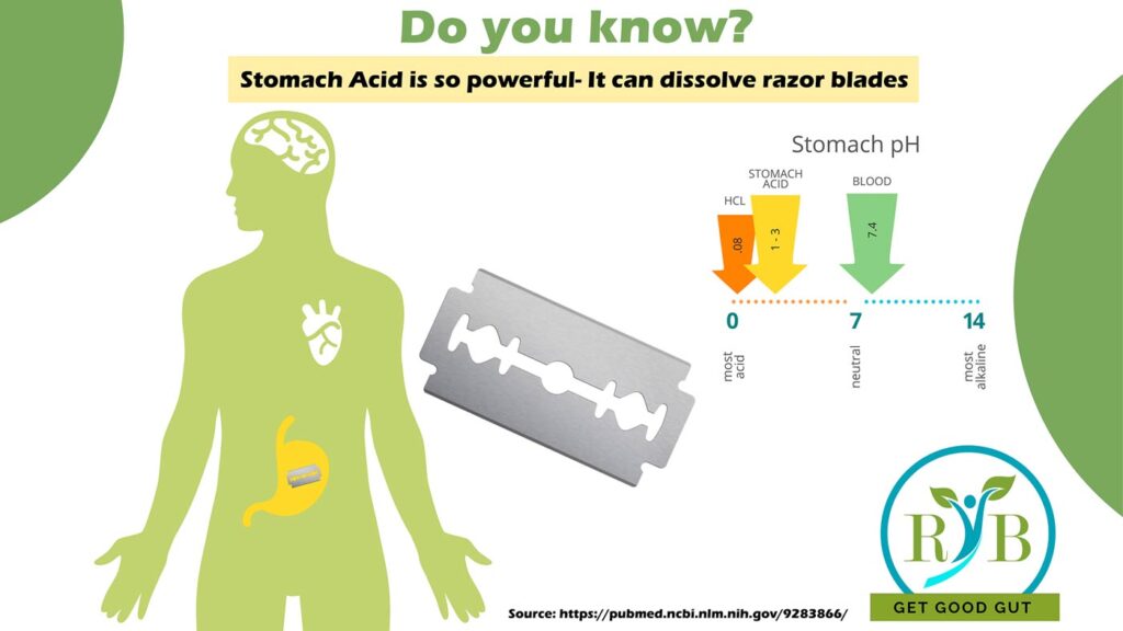 Acid in our stomach is so powerful- It can dissolve razor blades – RTB ...